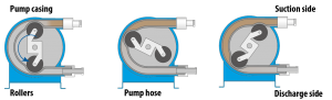 How Does A Peristaltic Pump Work? - Tapflo Pumps UK